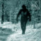 Six Rivers National Forest :: Folklore (Peak) – Igloo Magazine